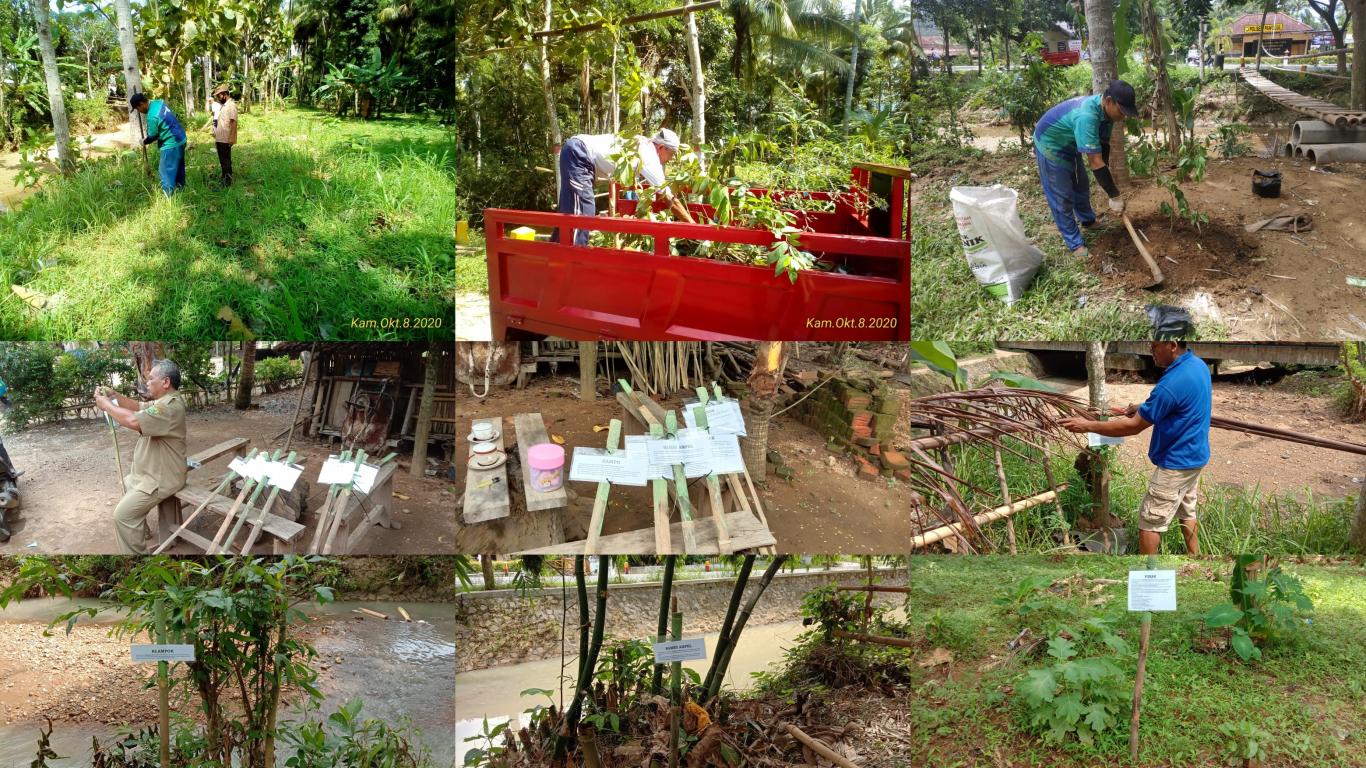 KEBUN BOTANI DESA WONOCOYO : Konservasi Kekayaan Flora - Website Desa ...